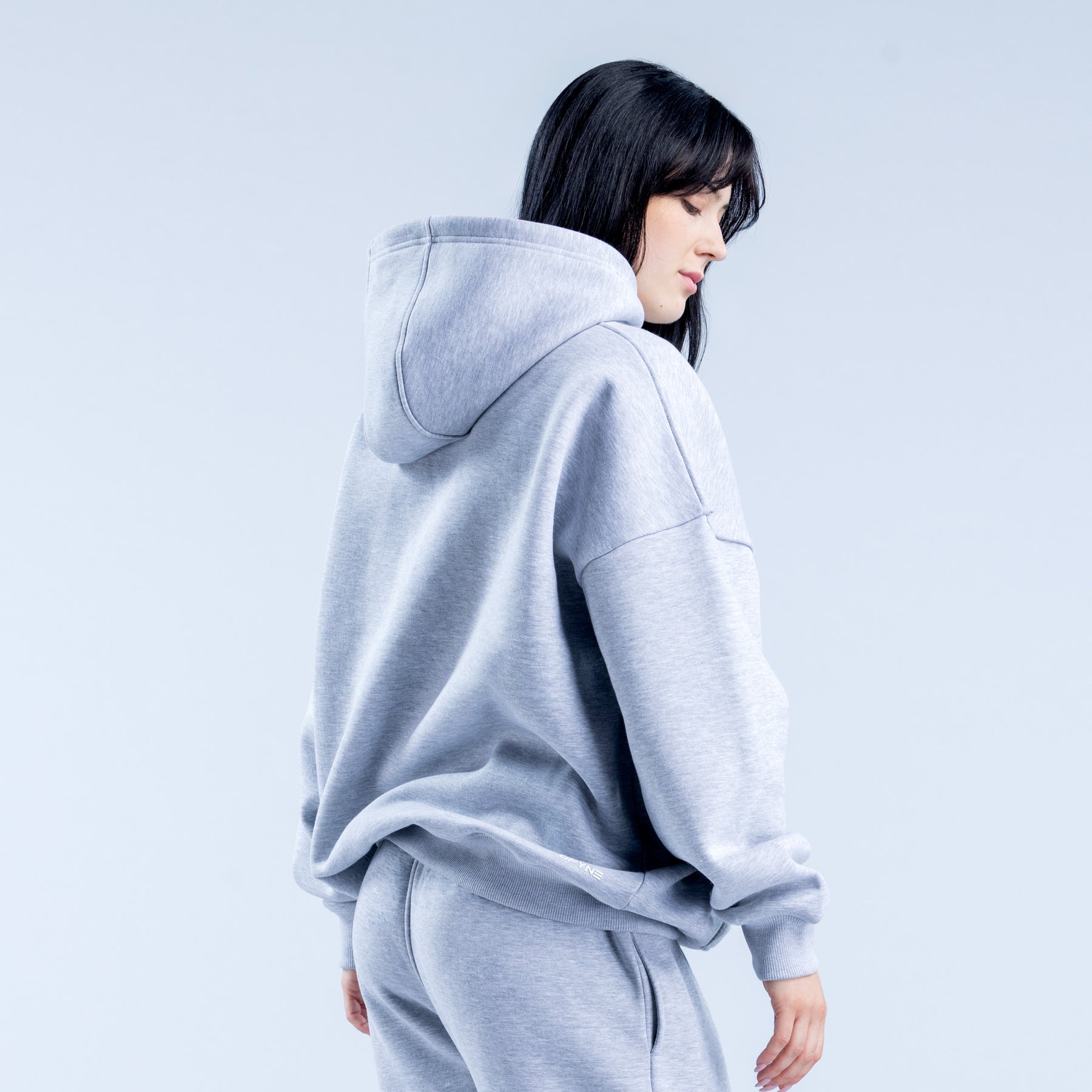 Revive Heavy Weight Hoodie – DFYNE